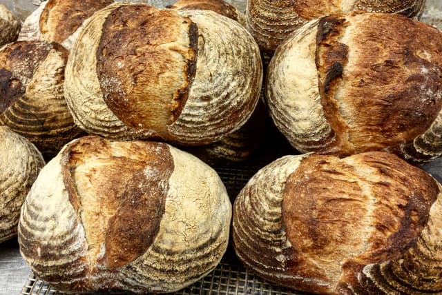 The True Price of Bread - Asparagus Magazine