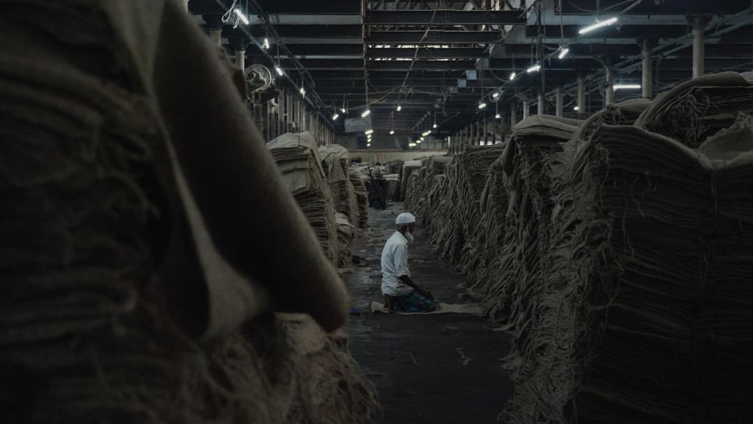 Nishtha Jain's Documentary The Golden Thread is a Symphonic Ode to ...